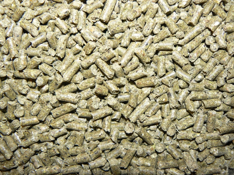 Granule Pro Nosnice | Kvalitní Krmivo Pro Slepice a Nosnice Granule Pro Nosnice | Kvalitní Krmivo Pro Slepice a Nosnice
